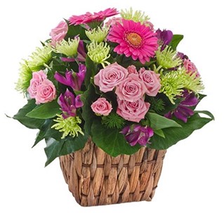 Send Flowers to Germany - Jolly Florist | Flower Delivery Germany